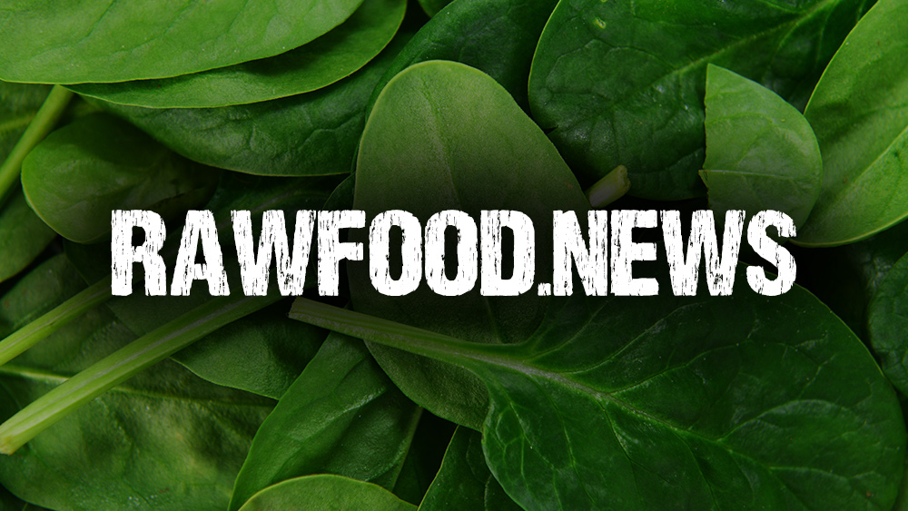 Raw Food News | Raw Food News – Raw Food Information